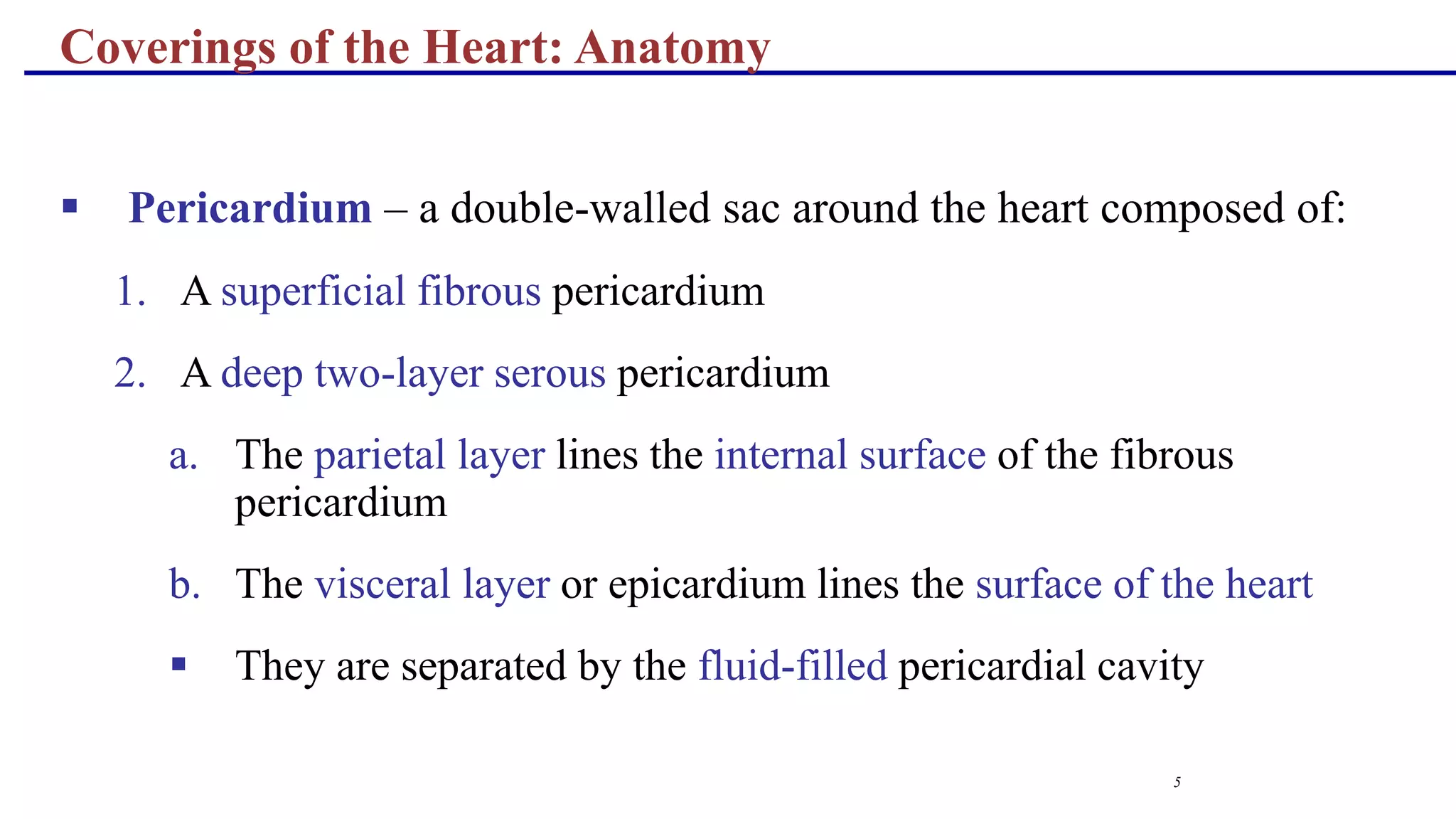 Human Circulatory System | PPTX