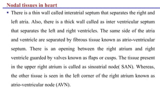 Human Circulatory System | PPT