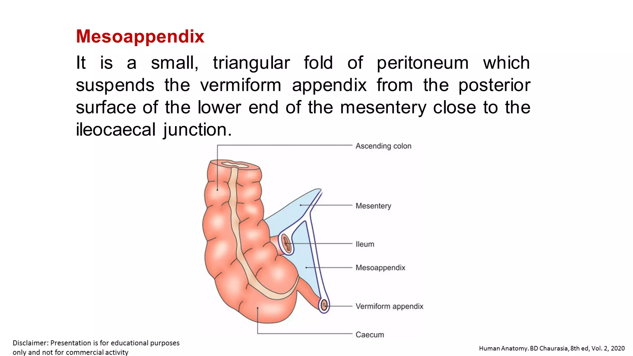Dr. Archana Rani (Peritoneum 1).pdf