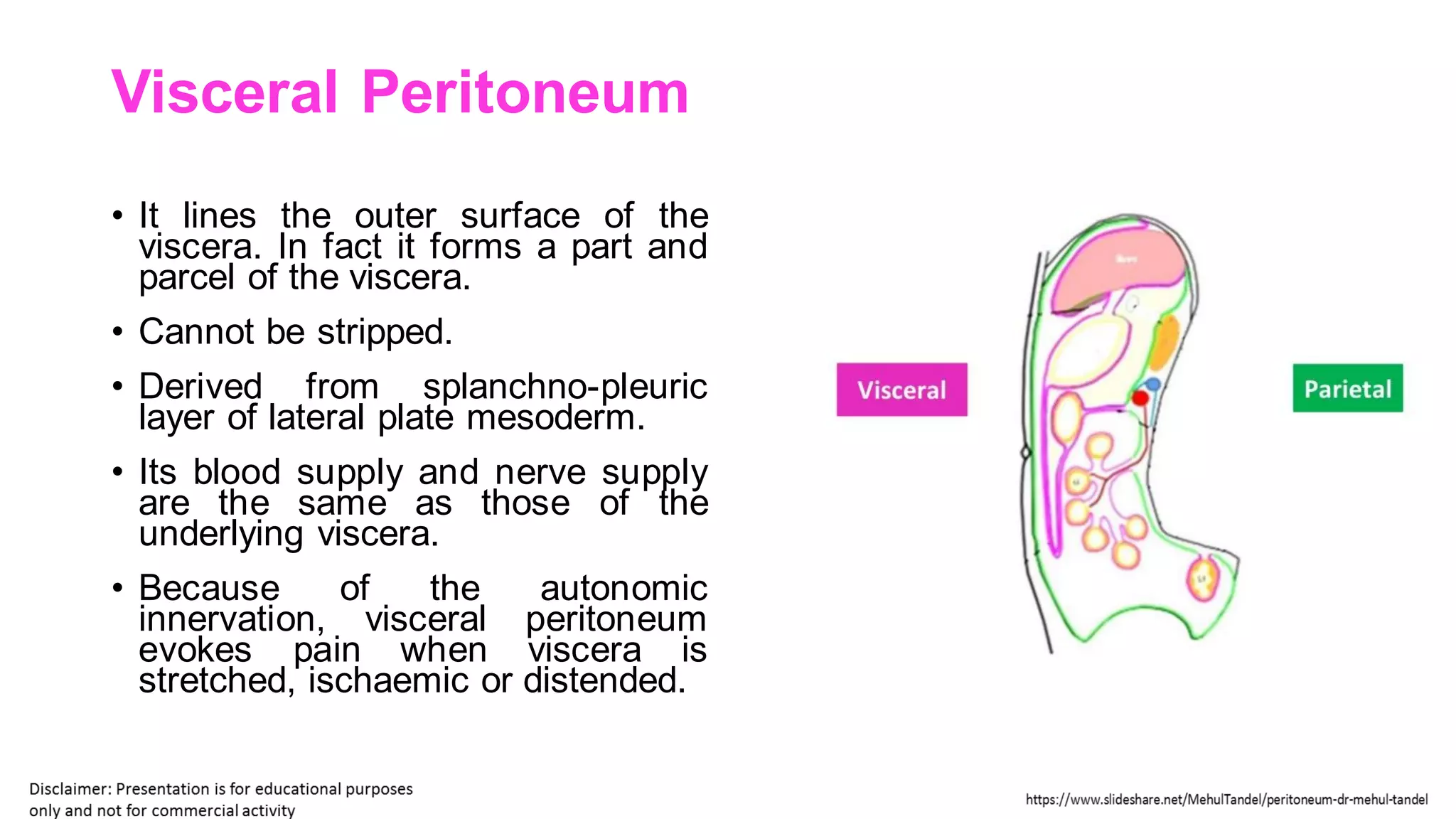Dr. Archana Rani (Peritoneum 1).pdf