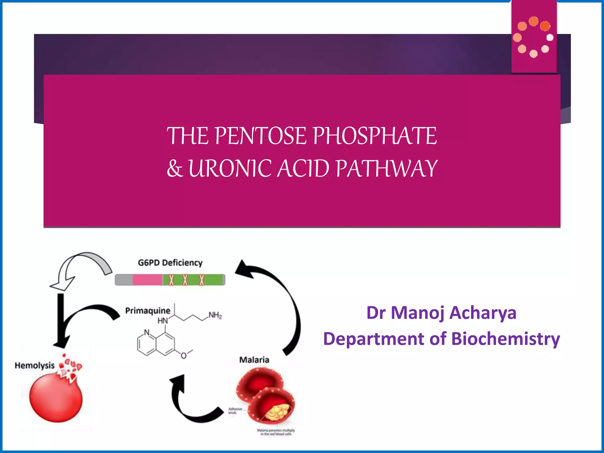 Pentose phostphate pathway.ppt