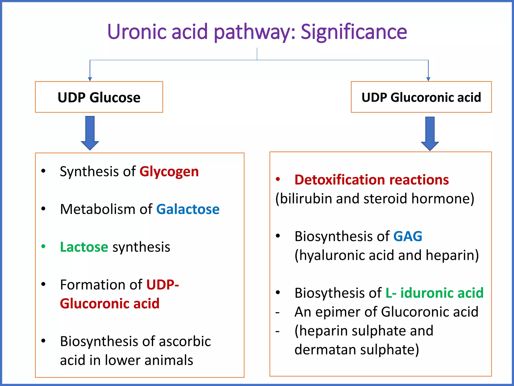 Pentose phostphate pathway.ppt