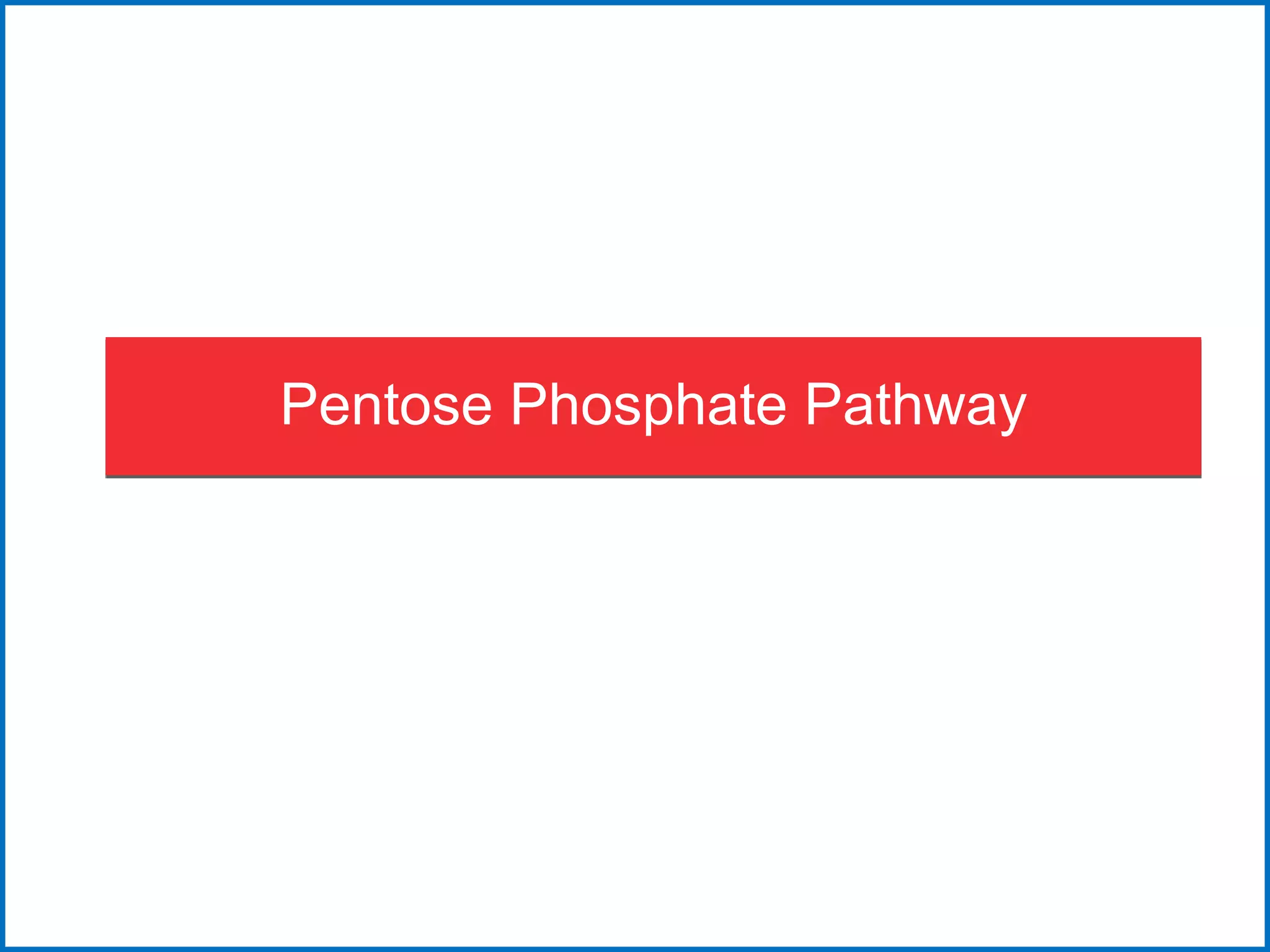 Pentose phostphate pathway.ppt