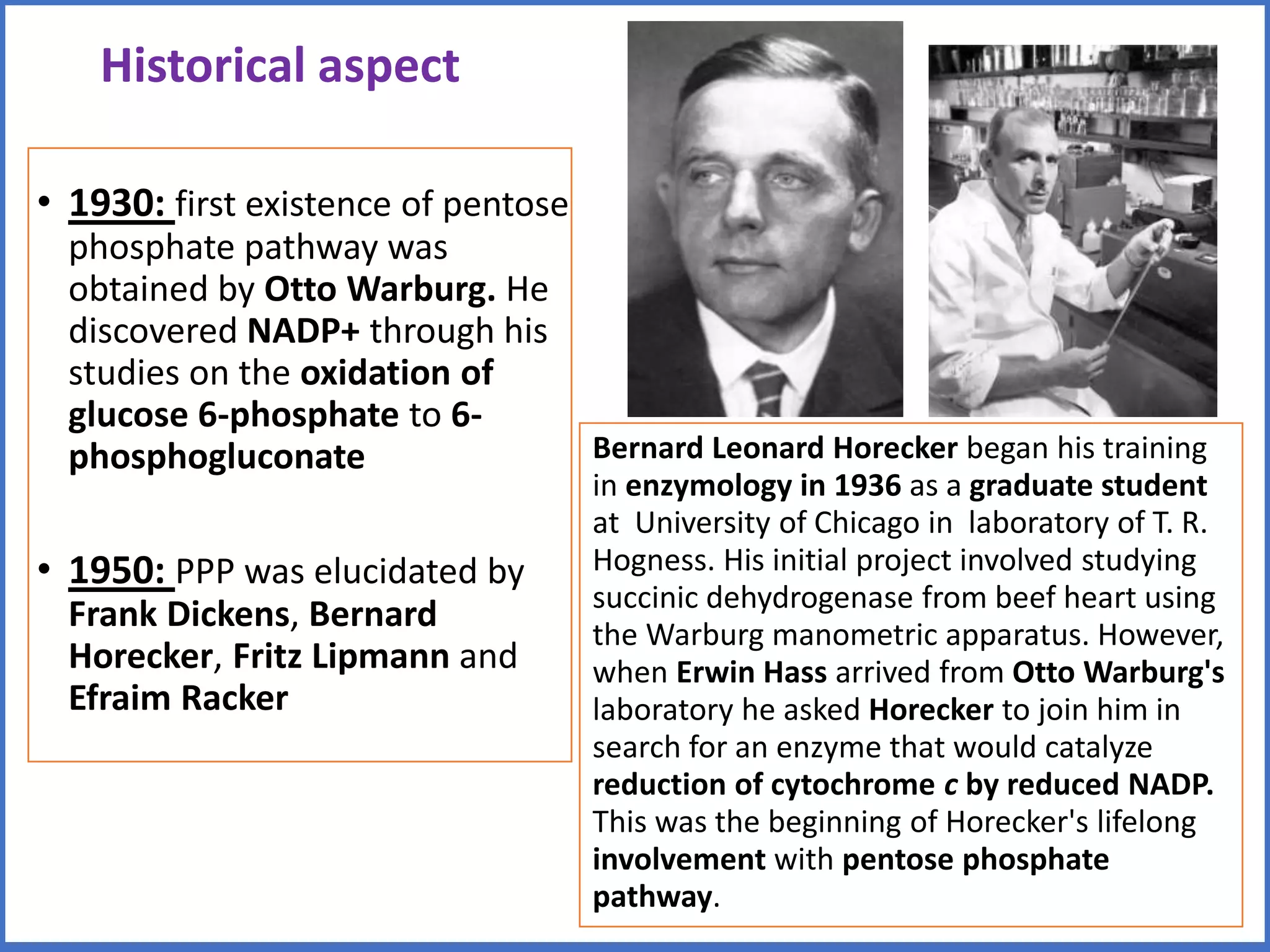 Pentose phostphate pathway.ppt