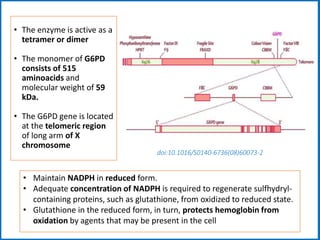 Pentose phostphate pathway.ppt