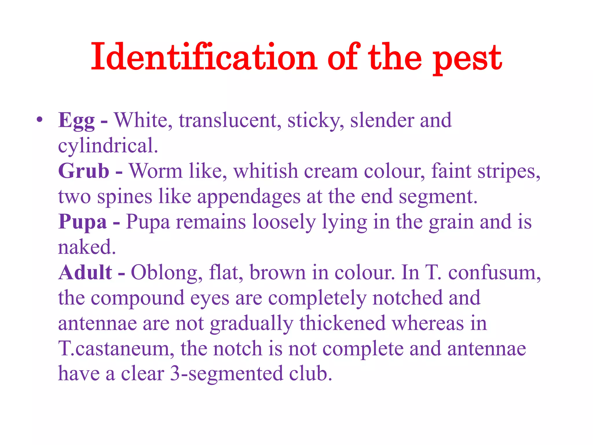 Dr.S.K Stored Product Insect Pests.pptx