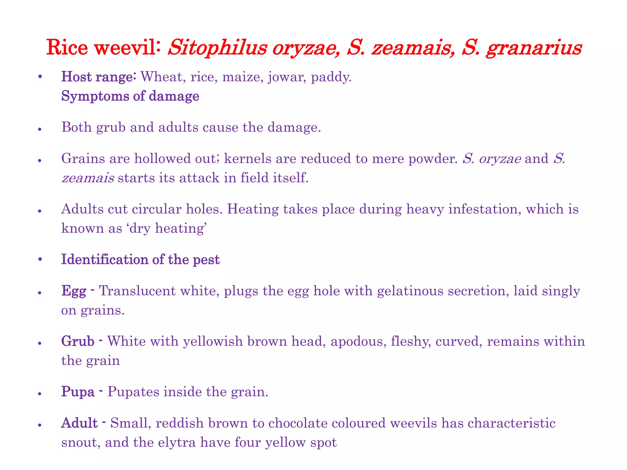 Dr.S.K Stored Product Insect Pests.pptx