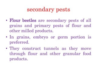 Dr.S.K Stored Product Insect Pests.pptx