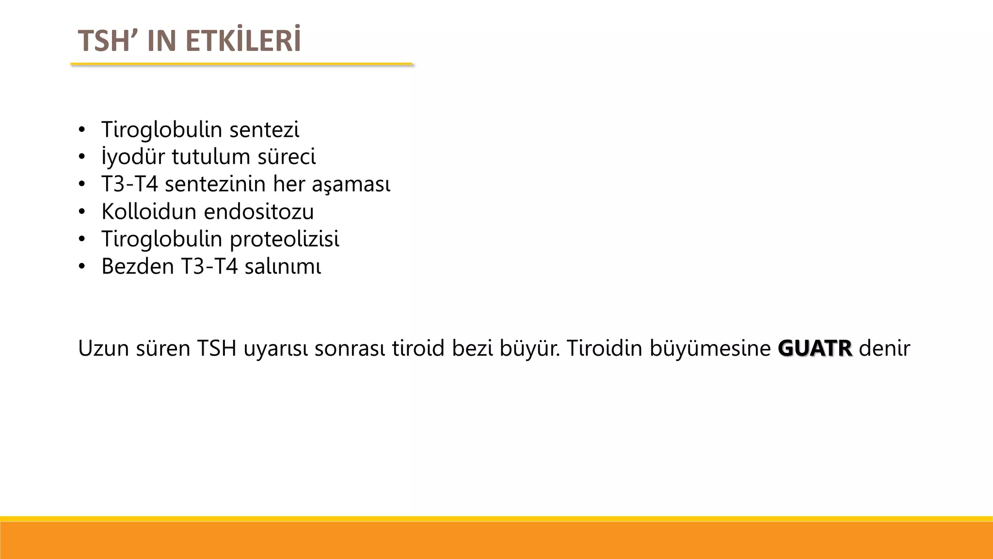 Dr.Gamze Güngör Toksik Halojenler ve İyot.pptx