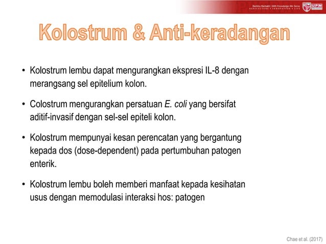 KEBAIKAN KOLOSTRUM DAN KANDUNGAN IMMUNOGLOBULIN | PDF