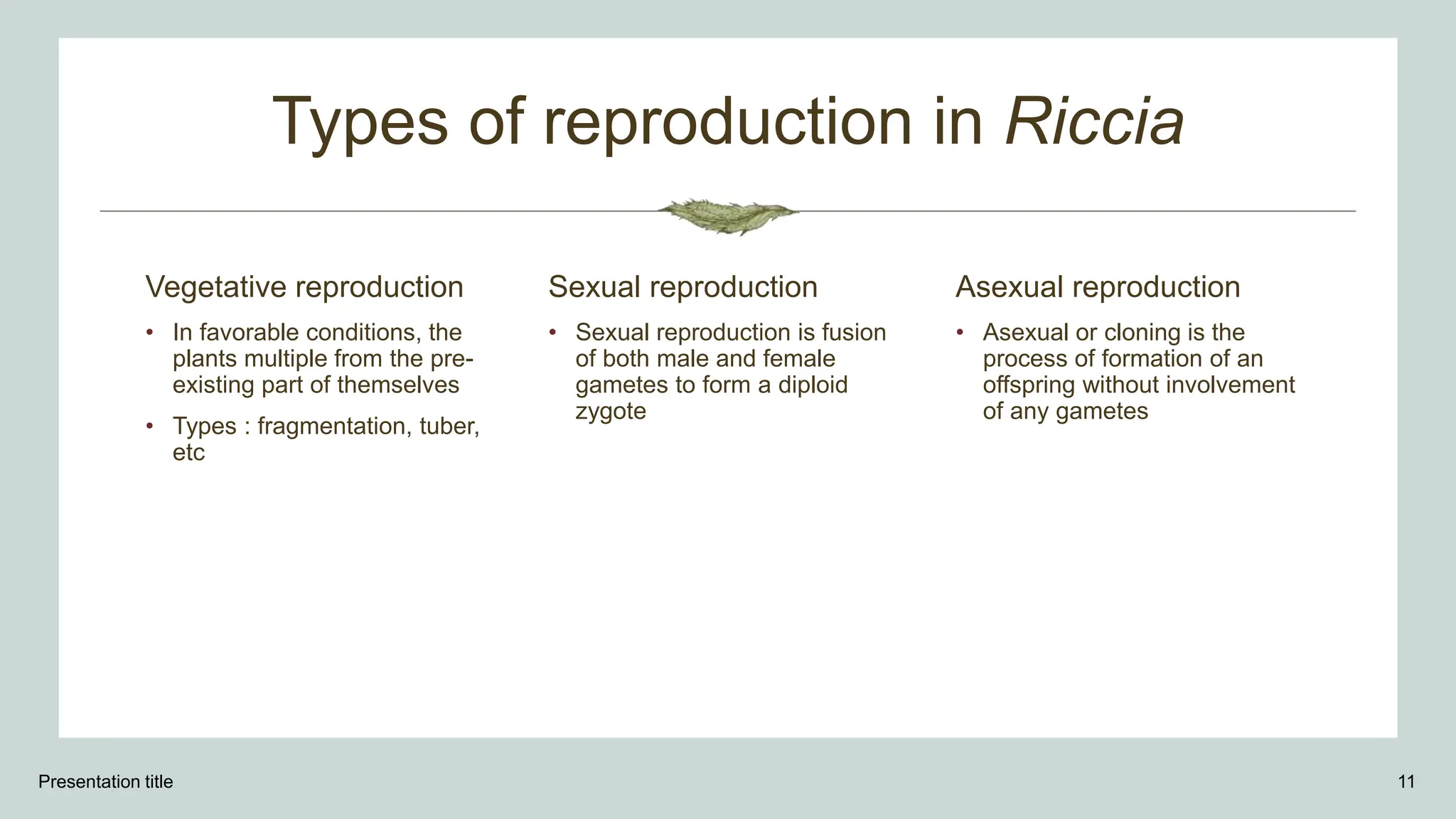 Dr. Nisha Choudhari- Life cycle of Riccia.pptx