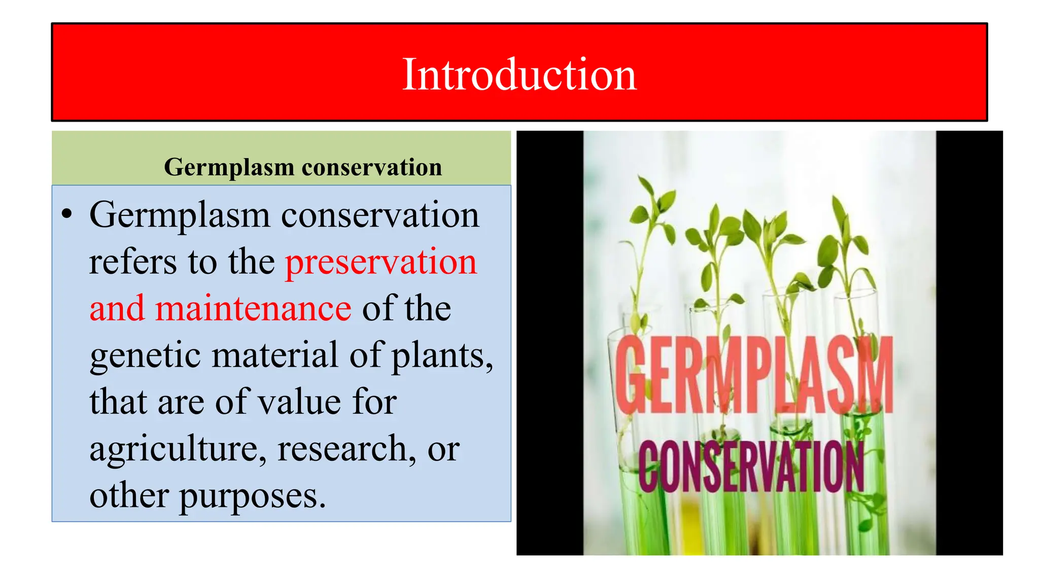 Current advances and prospects in Germplasm conservation for fruit ...