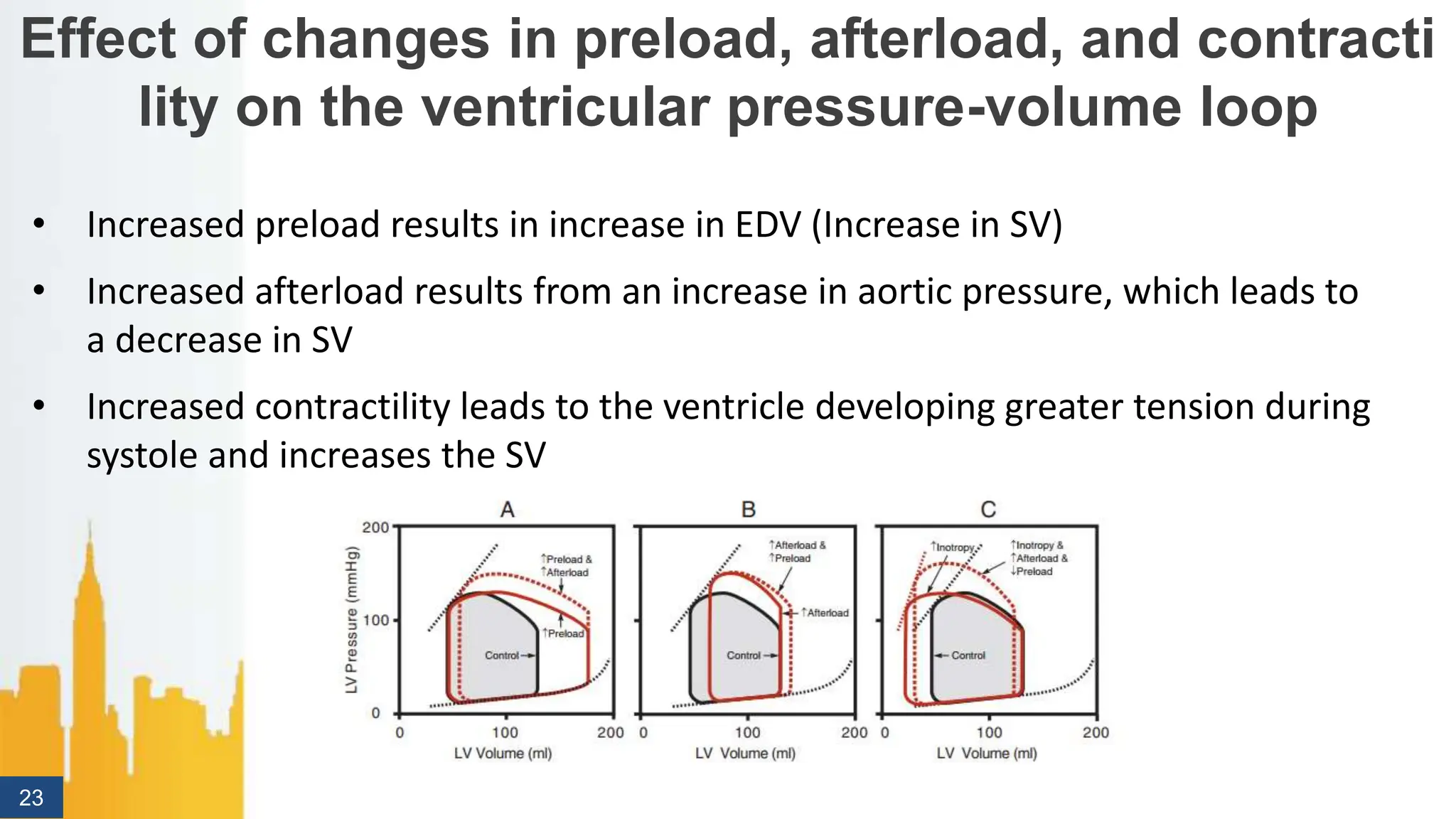 Cardiac Cycle and Hemodinamic.pptx