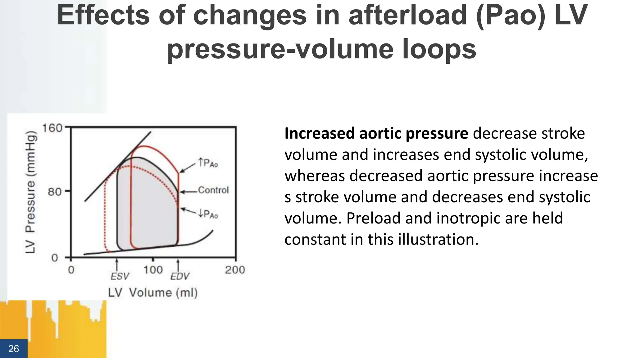 Cardiac Cycle and Hemodinamic.pptx