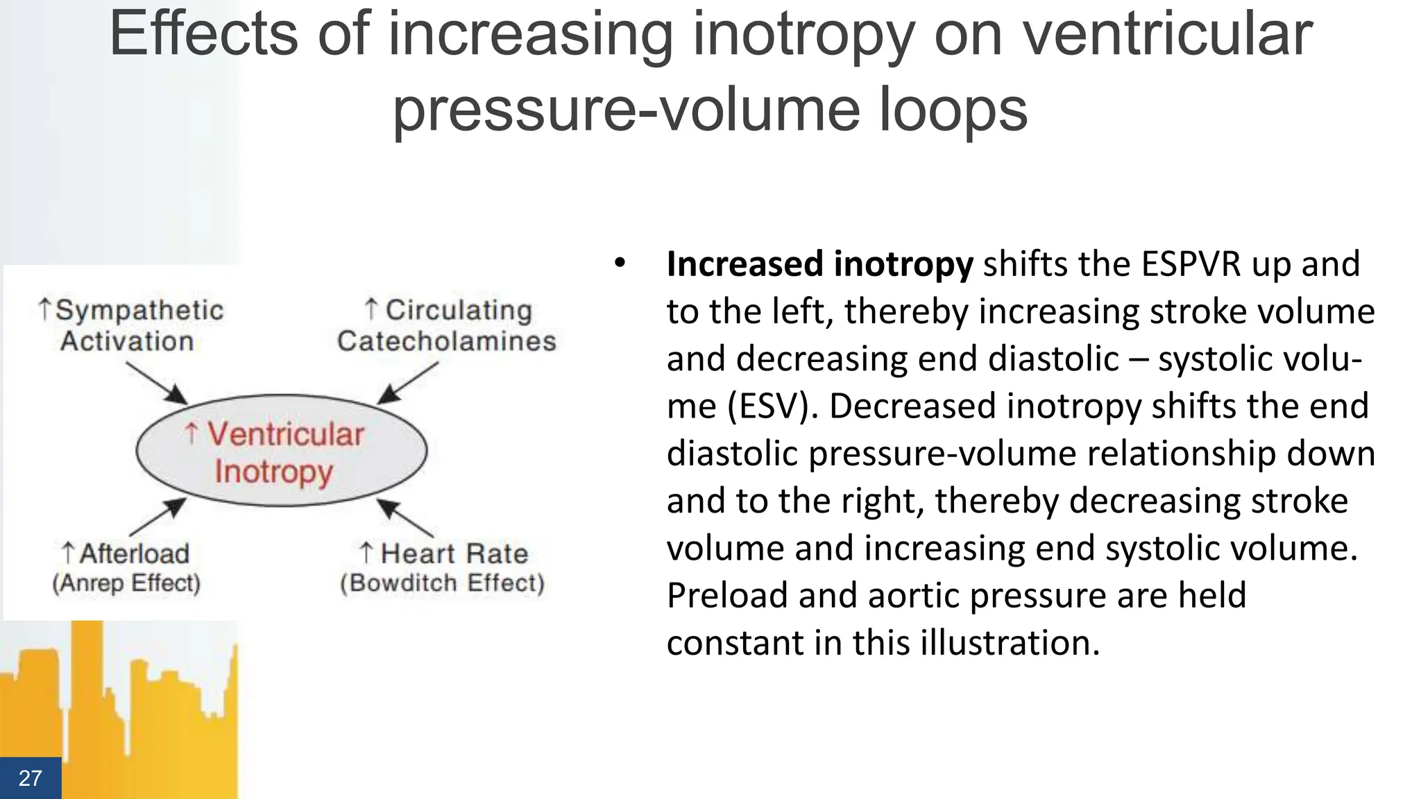 Cardiac Cycle and Hemodinamic.pptx
