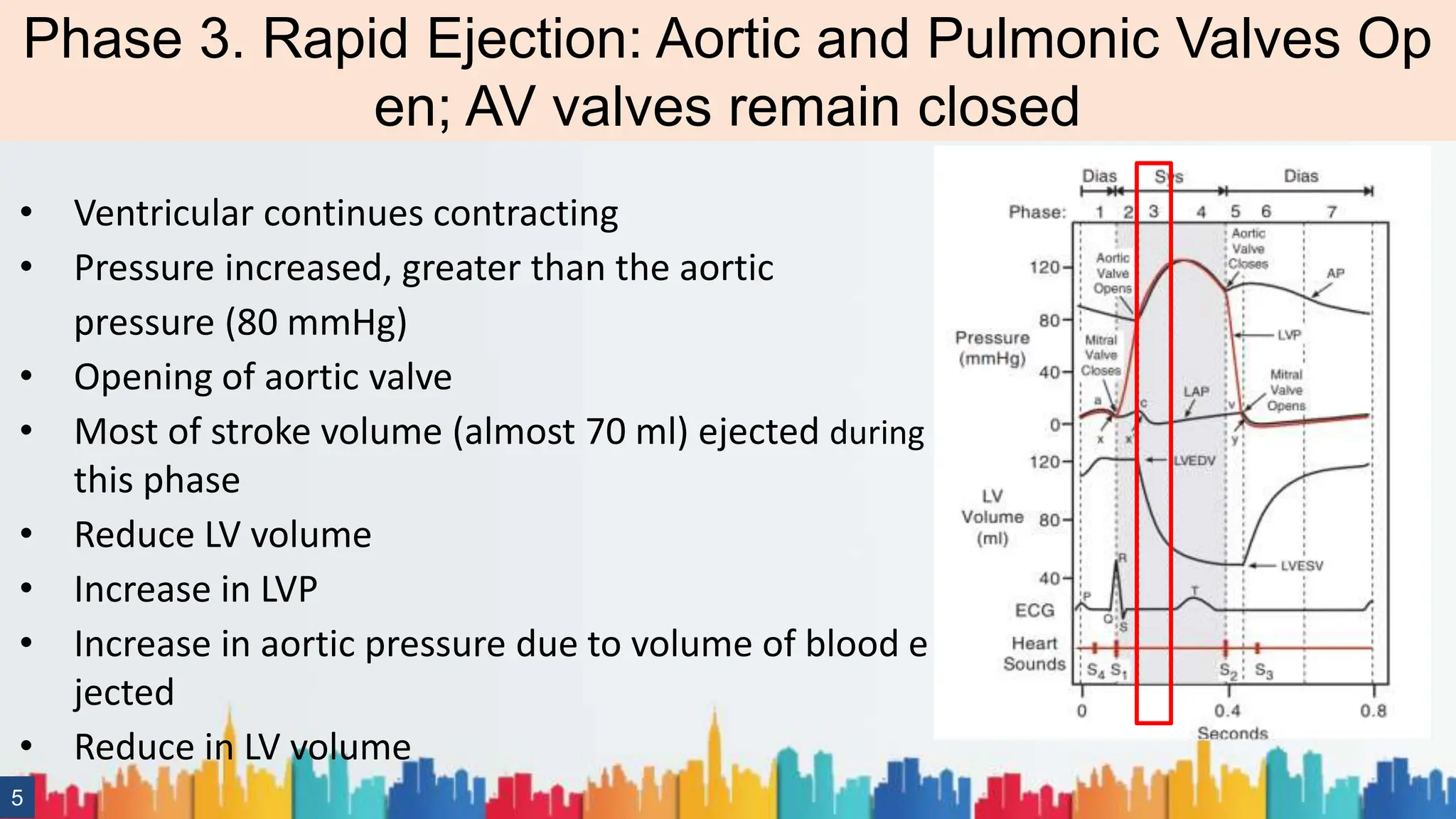 Cardiac Cycle and Hemodinamic.pptx