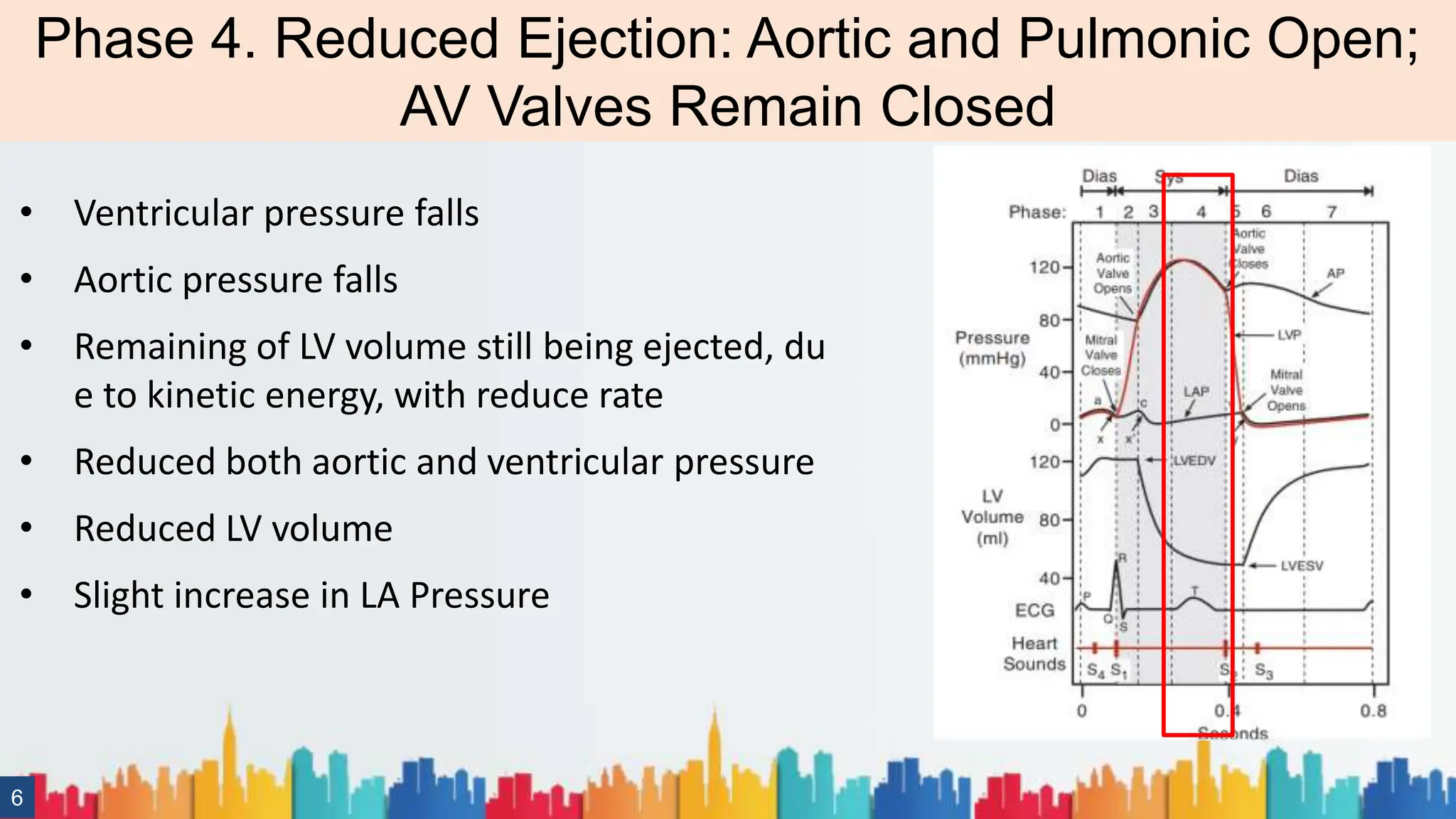 Cardiac Cycle and Hemodinamic.pptx