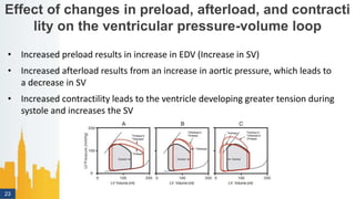 Cardiac Cycle and Hemodinamic.pptx