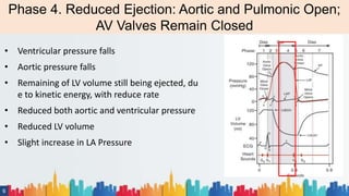 Cardiac Cycle and Hemodinamic.pptx