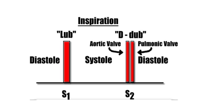 Clinical approach to cardiac patients and | PPT