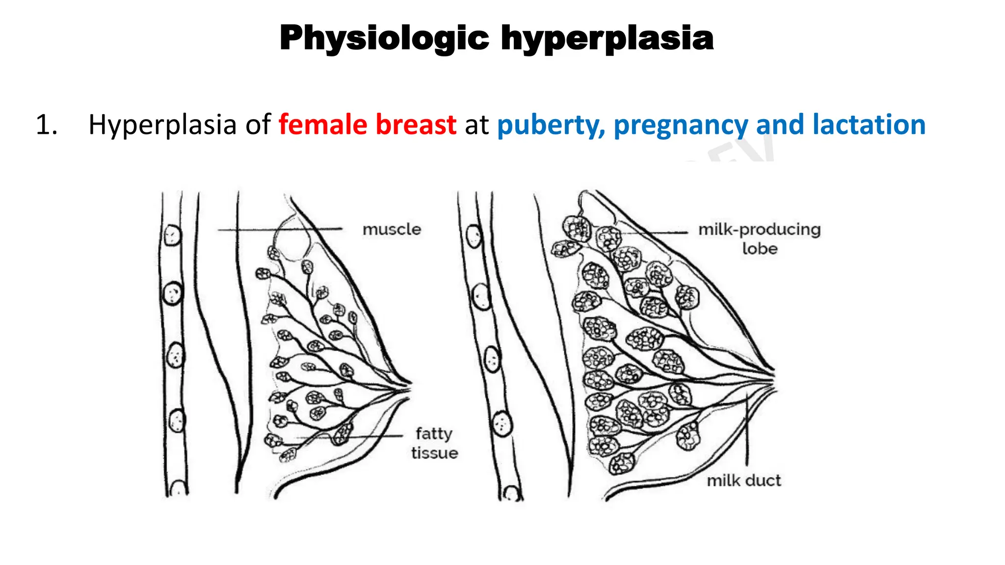 General pathology.pdf by Miss Priyanka sachdev | PDF
