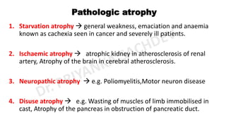 General pathology.pdf by Miss Priyanka sachdev | PDF
