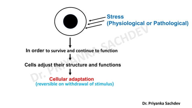 General Pathology Pdf By Miss Priyanka Sachdev Pdf