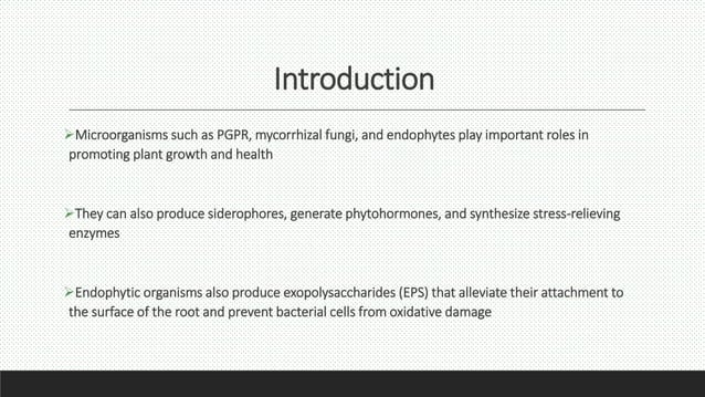 PGPR in plant disease management and plant health .pptx | Agriculture | Industries