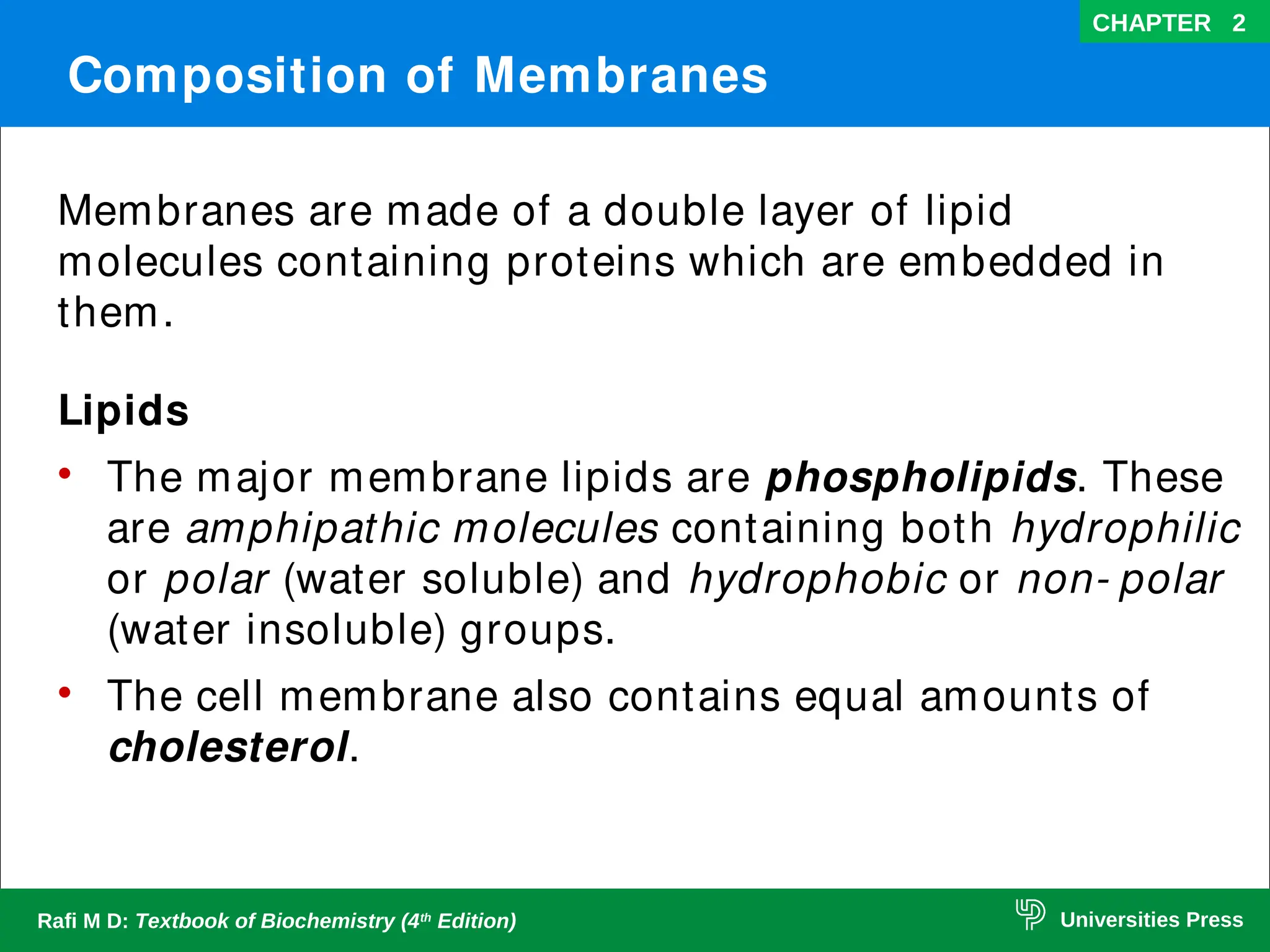 Dr.Rafi's Biochemistry PPTS Lwwatest.pdf