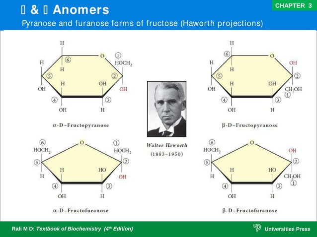 Dr.Rafi's Biochemistry PPTS Lwwatest.pdf