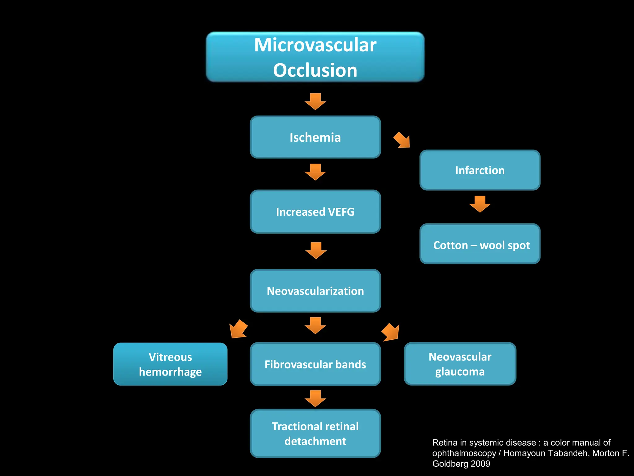 diabetic retinopathy detection using cnn | PPT