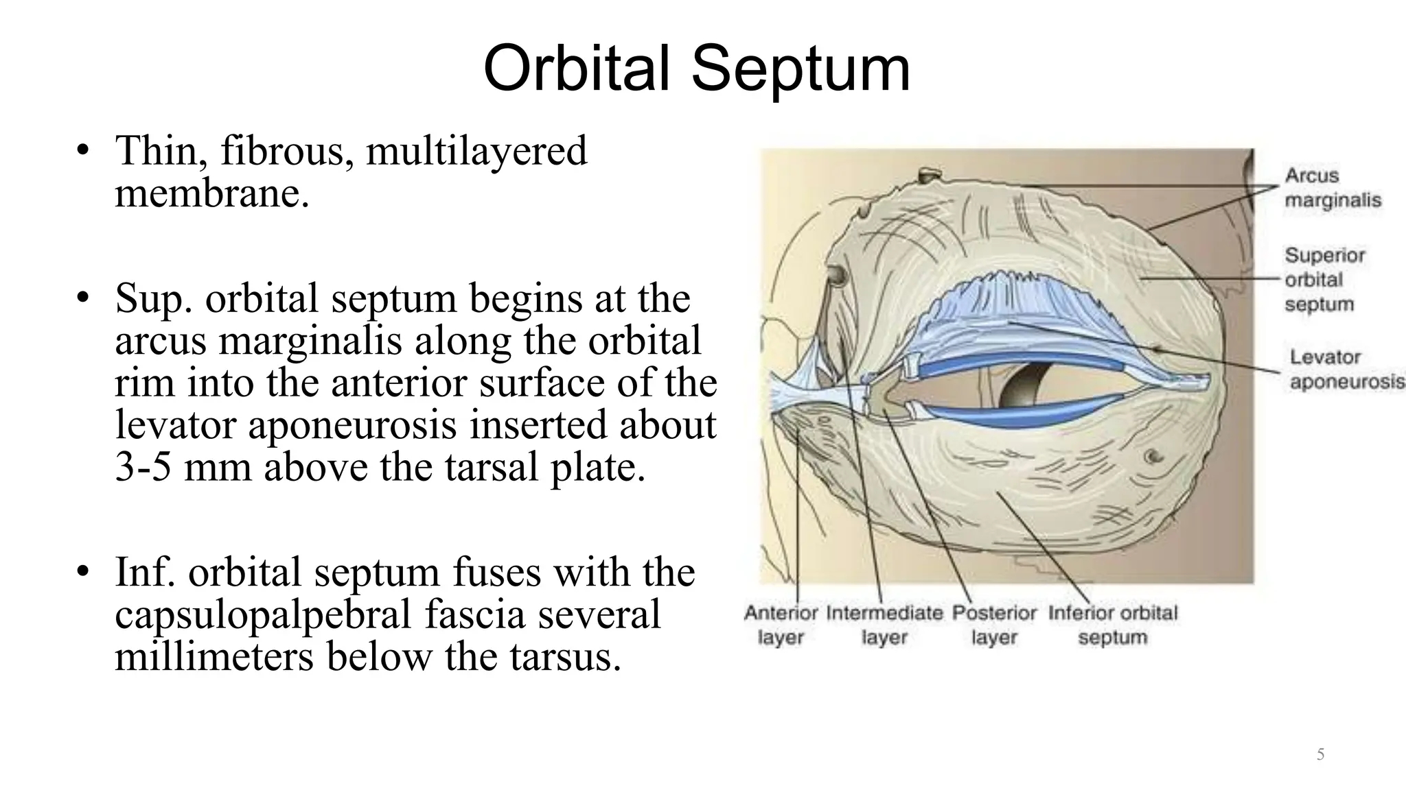 Preseptal Cellulitis & Orbital Cellulitis -Dr. Prabhat Devkota.pptx