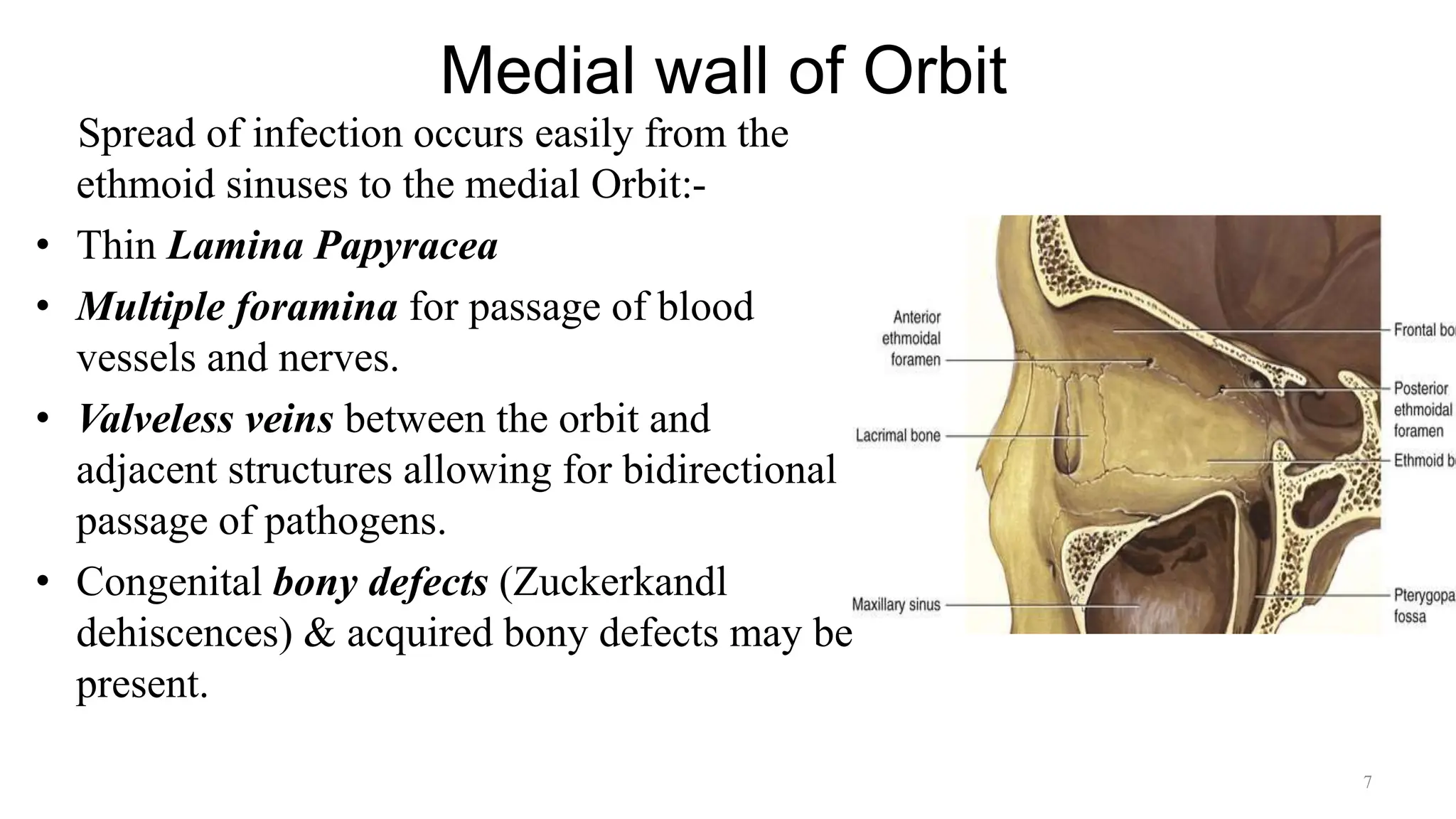 Preseptal Cellulitis & Orbital Cellulitis -Dr. Prabhat Devkota.pptx