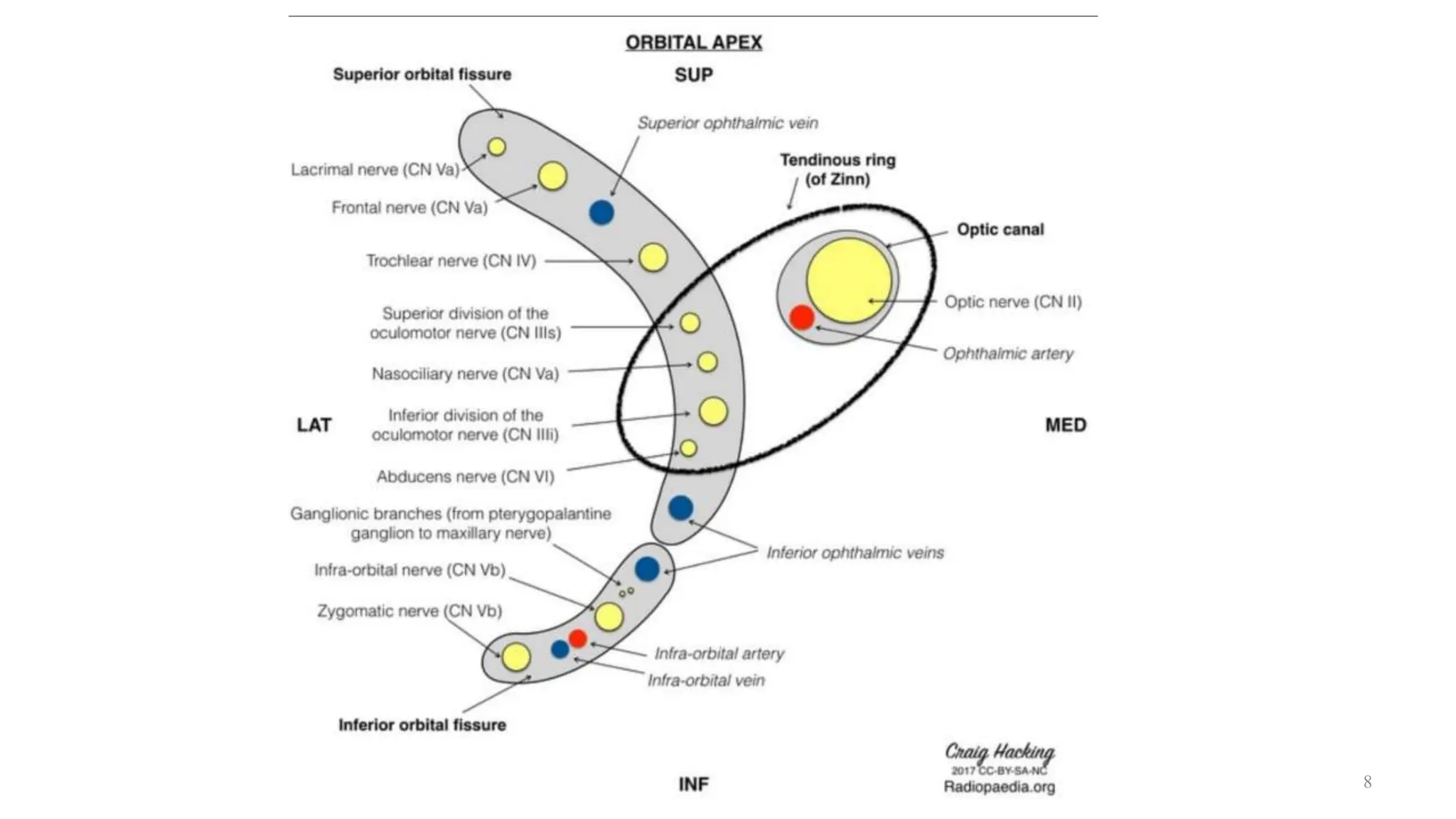 Preseptal Cellulitis And Orbital Cellulitis Dr Prabhat Devkota Pptx