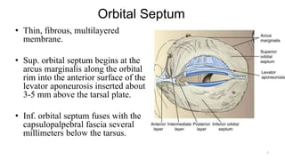 Preseptal Cellulitis & Orbital Cellulitis -Dr. Prabhat Devkota.pptx