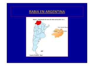 Rabia fisiopatologia Rabia fisiopatologia rabia rabia rabia rabia rabia ...