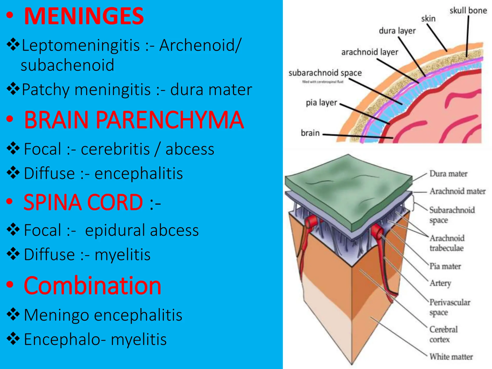 DR. RAM JIBAN MENINGITIS PPT FINAL.pptx gds | PPT