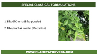 Health Benefits and Medicinal Uses of Bilva Leaves, Bael Patra, Aegle ...