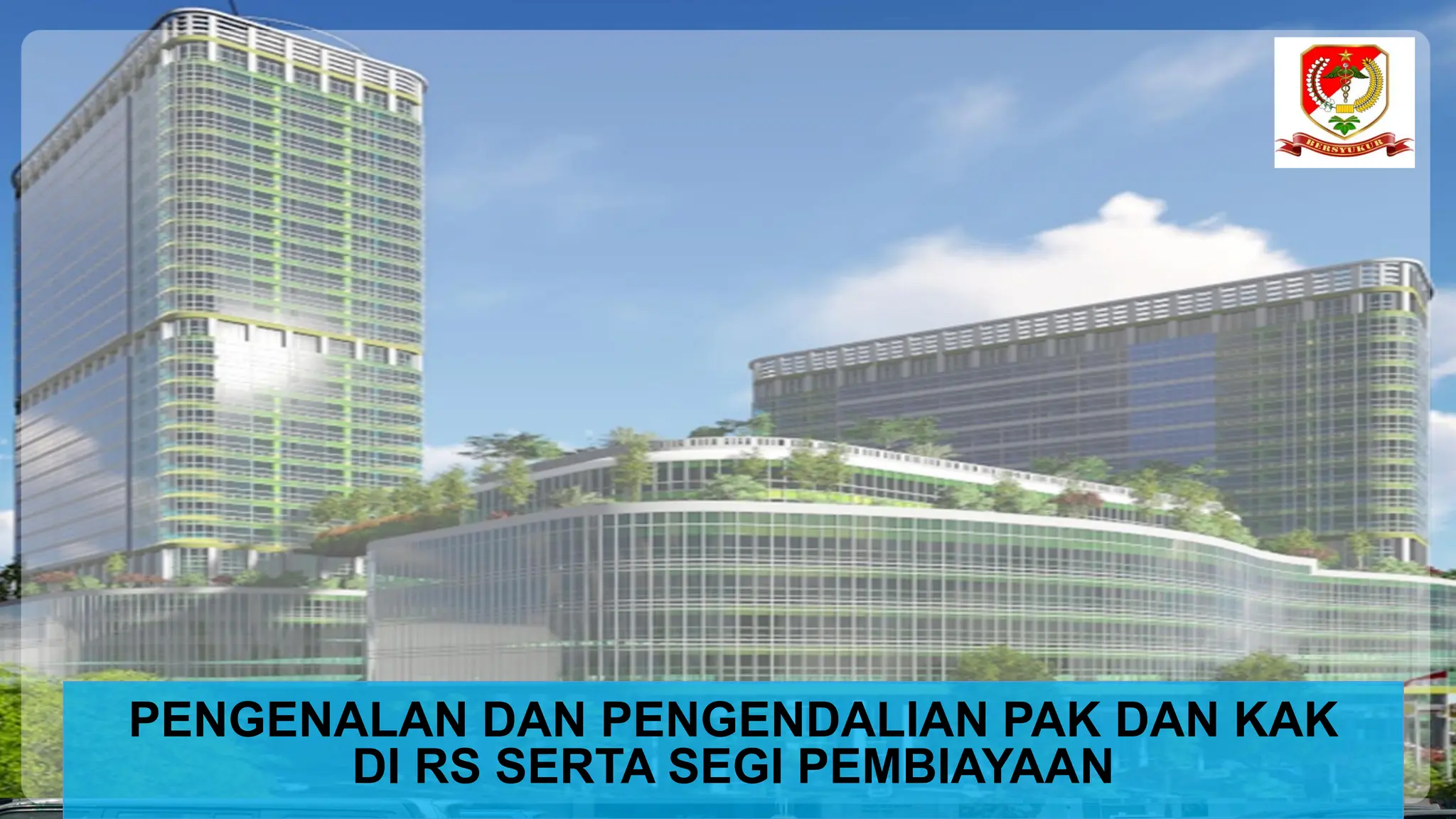 dr. Juliana - Pengenalan dan Pengendalian PAK dan KAK di RS serta segi pembiayaan.pdf