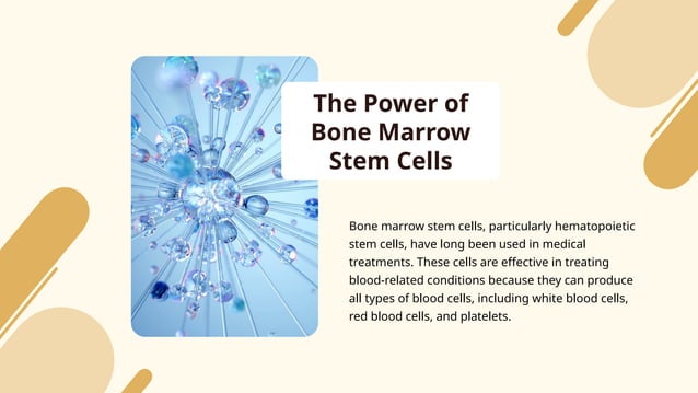 Dr. David Greene Arizona Uncovering Stem Cells from Bone Marrow to Fat Tissue.pptx