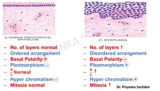 Dr. Priyanka Sachdev - General pathology.pdf