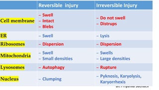 Dr. Priyanka Sachdev - General pathology.pdf