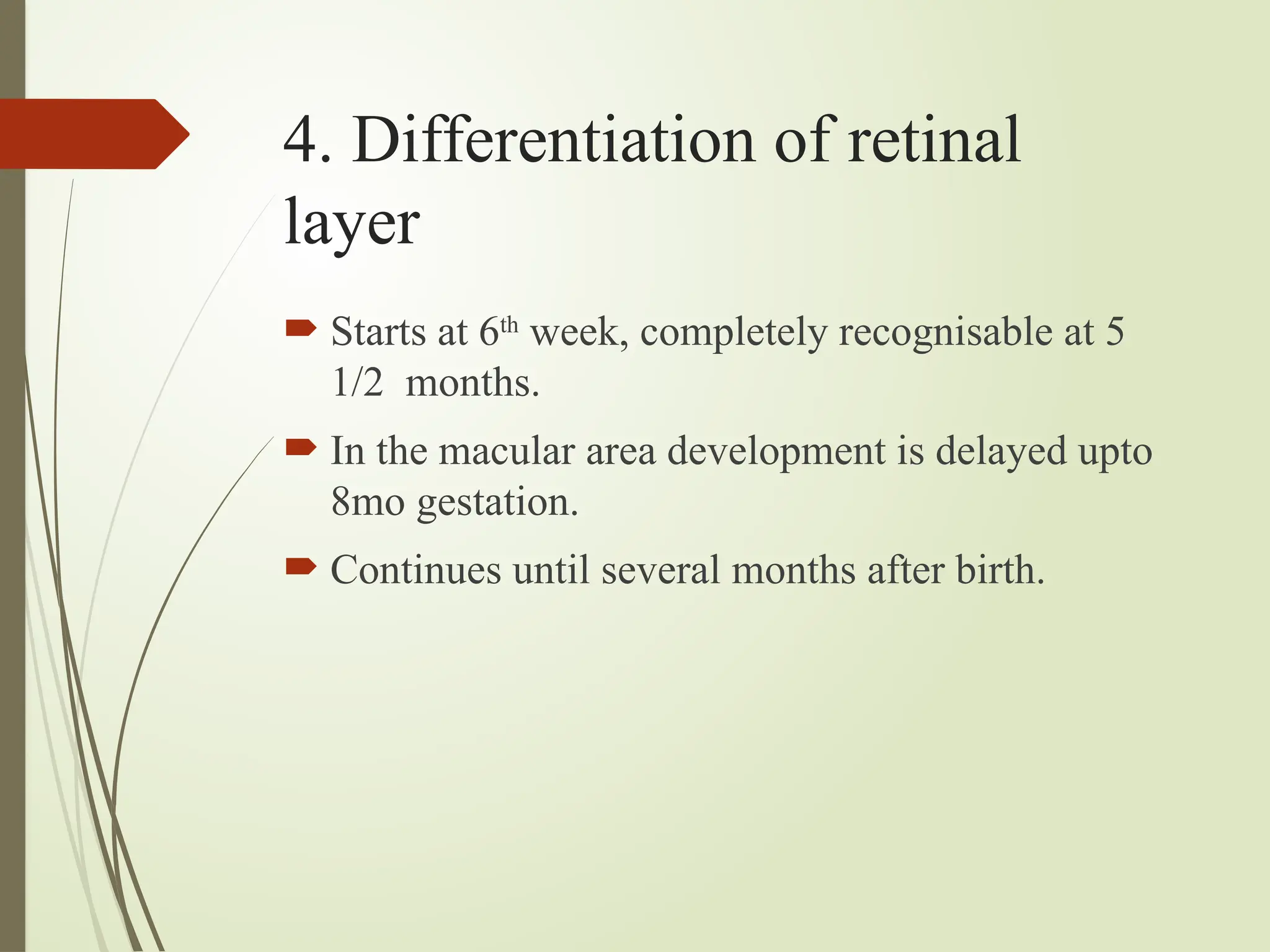 Embryology of retina and relevant anatomy.pptx | Eye and Vision ...