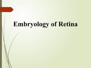 Embryology of retina and relevant anatomy.pptx