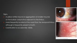 DR. seng serey Day 2A.pdf................ | PPT