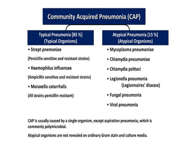 DR.JIBAN PPT.pptx bbbbbbbbbbbbbbbbbbbbbbb | PPT
