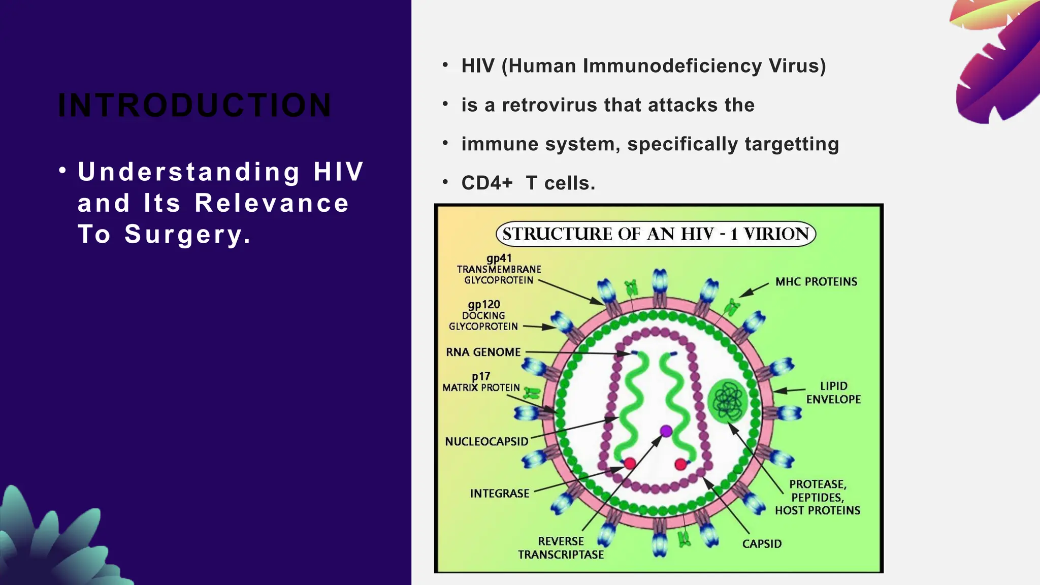 HIV (Human Immunodefficiency Virus) And The Surgeon by Dr. Mina T.G. | PPTX