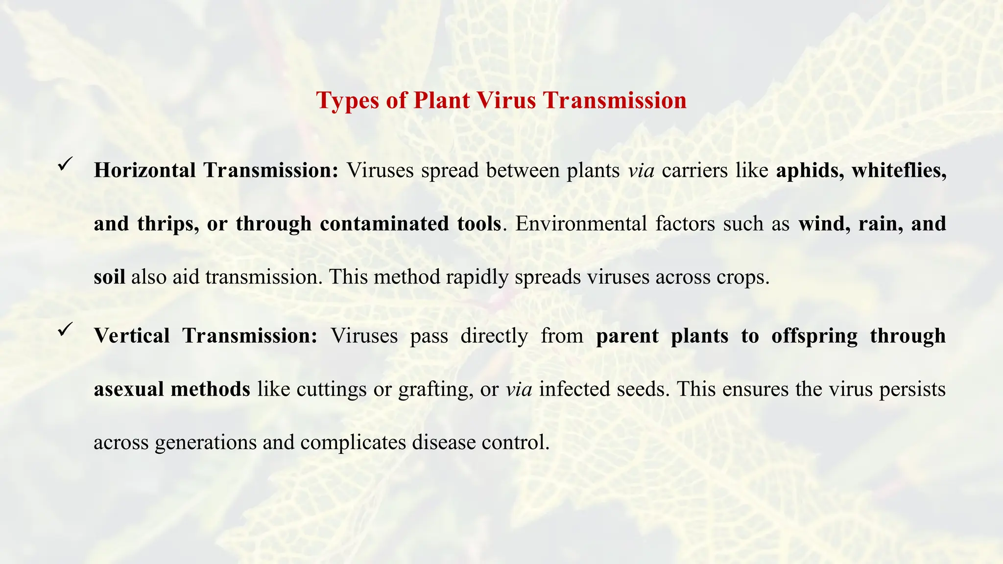How Plant Viruses Spread: Modes of Transmission | PPT