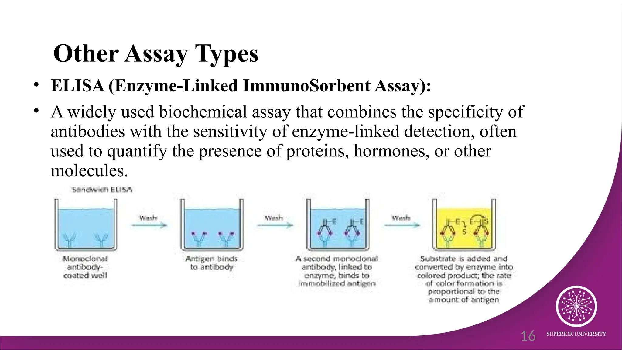 Types of enzyme assay,dr.qurat ul ain ppt.pptx