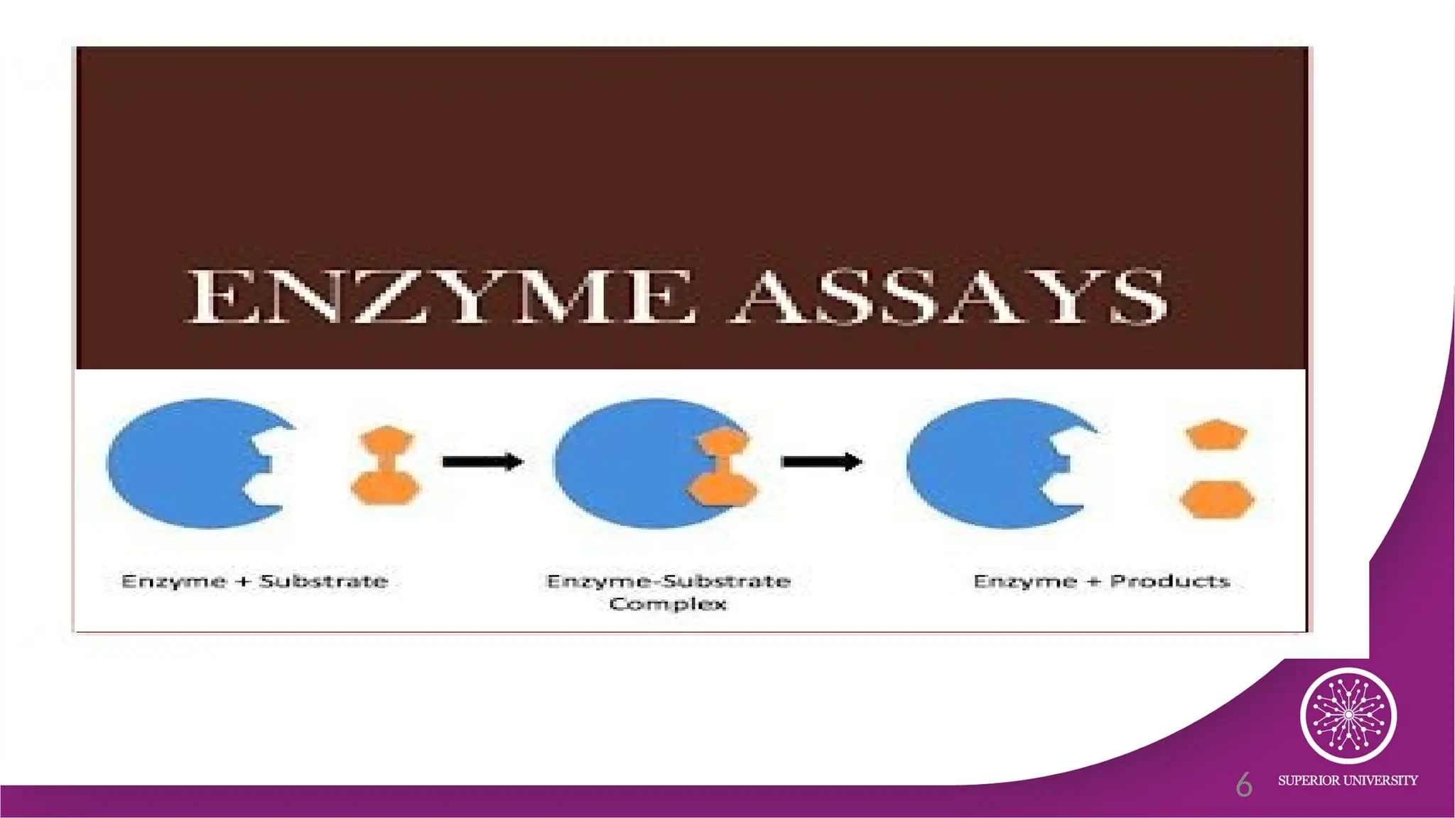 Types of enzyme assay,dr.qurat ul ain ppt.pptx